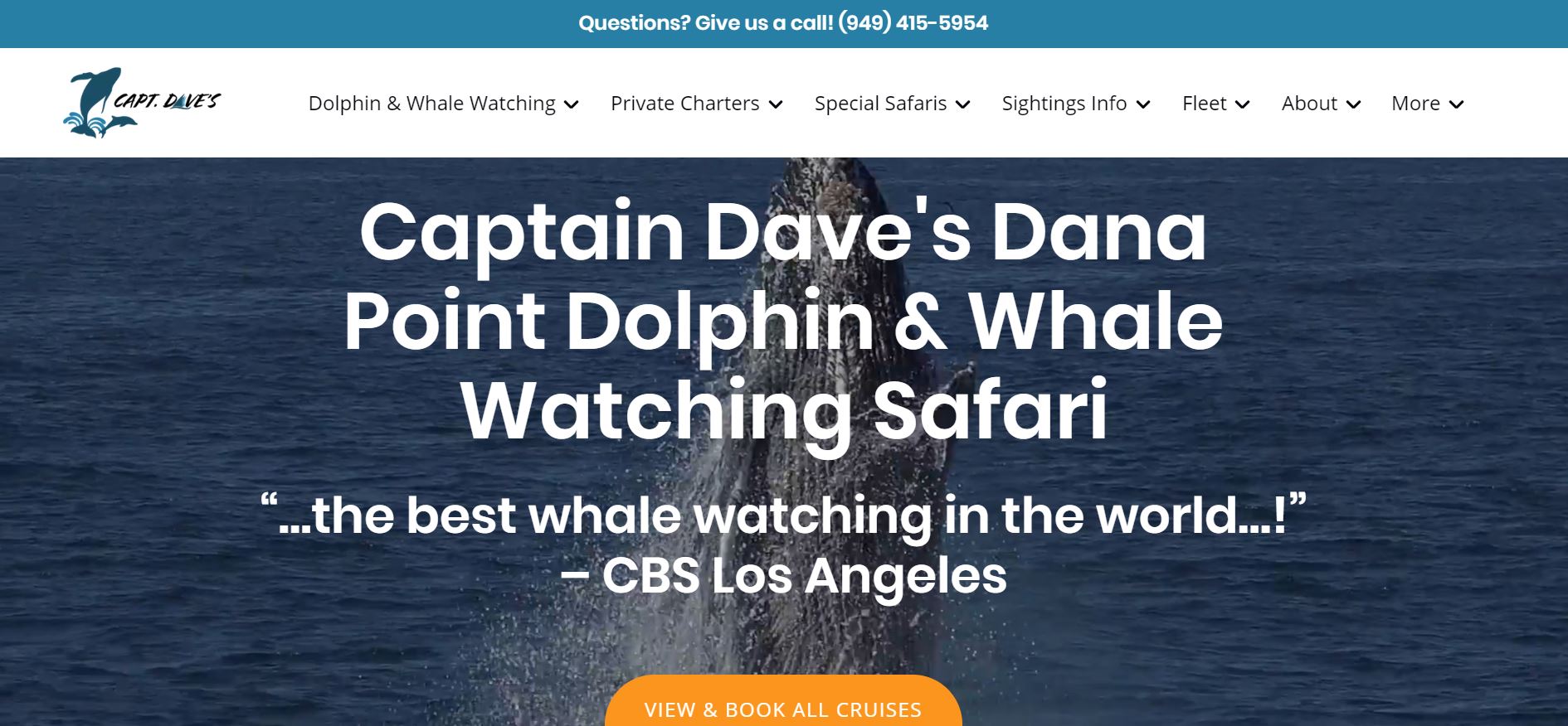 Hospitality & Travel Case Study - Captain Dave’s Dana Point Dolphin ...