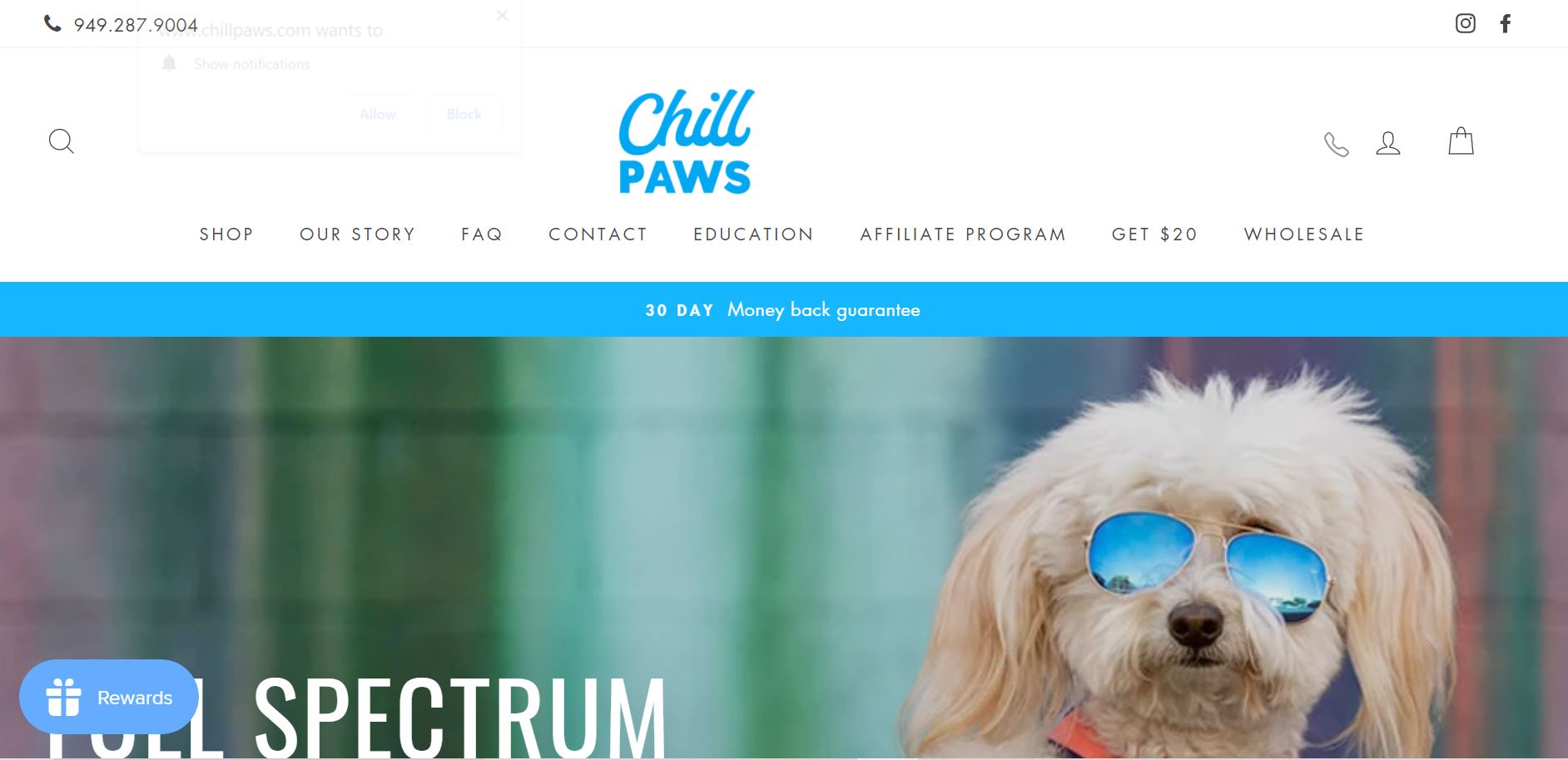 SEO For Pet CBD Case Study - Chill Paws | Coalition